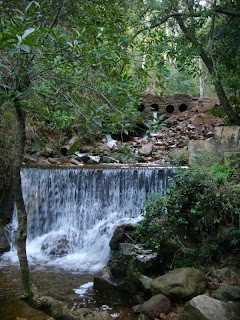 Walking the Cape: Contour Path: Constantia Nek to Newlands