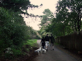 Walking the Cape: Contour Path: Constantia Nek to Newlands