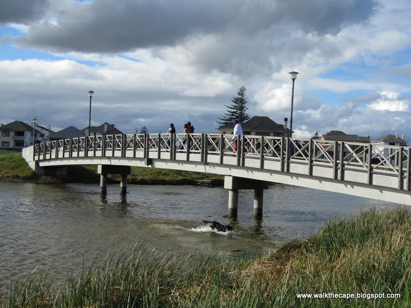 Walking the Cape: Zandvlei Wetlands