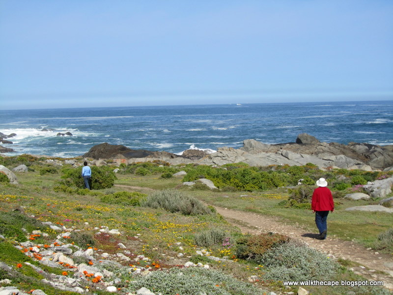 Walking the Cape: West Coast National Park & Postberg