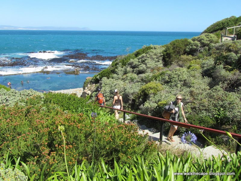 Walking the Cape: Hermanus: Cliff Path - West