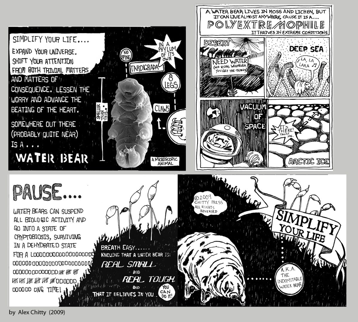 The Small Science Collective Eating Insects