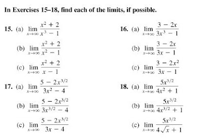 RHS AP Calc AB 2010-11: Infinite Limits and Limits at Infinity
