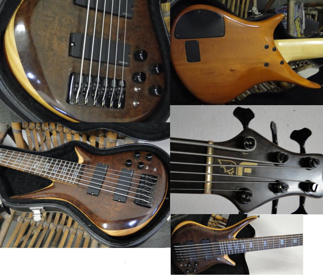 Cette Luthier