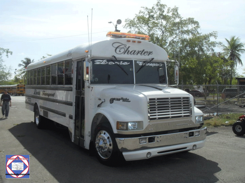 ANDANDO EN BUS: ¡¡COMO SE CUIDAN LOS BUSES EN PUERTO RICO!! NUEVO ESPECIAL