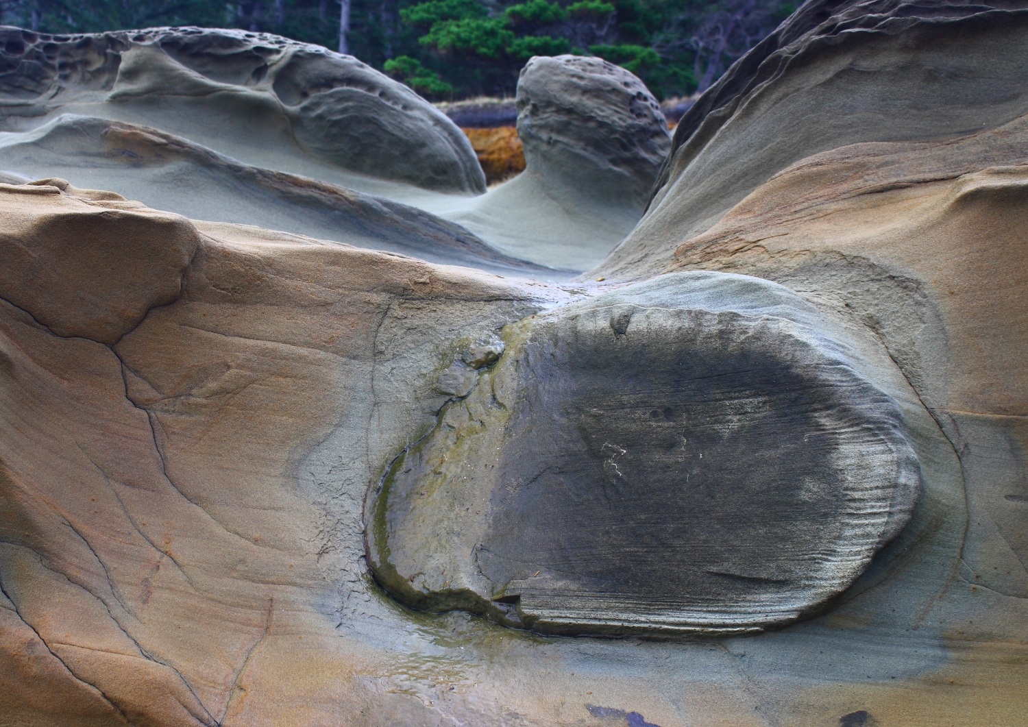 Oregon - Like No Other: Concretion Rock Art