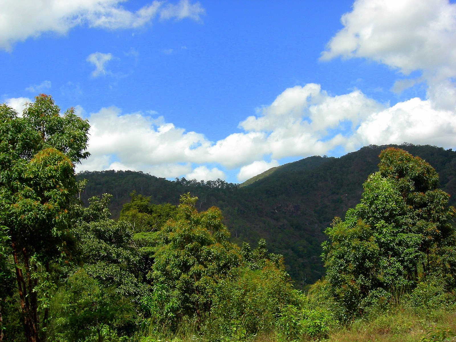 Tropical Far North Queensland: 8. Kuranda - Barron Falls