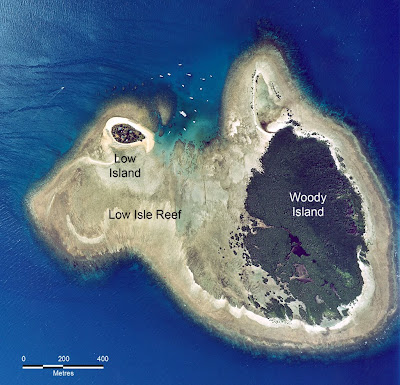 Tropical Far North Queensland: 36. Low Isles - Island Walk