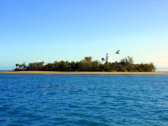 Tropical Far North Queensland: 37. Low Isles - Return journey