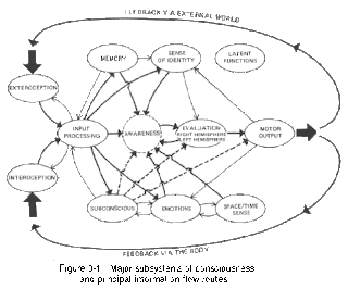 Major conscious and unconscious processes in the brain: part 4: the ...