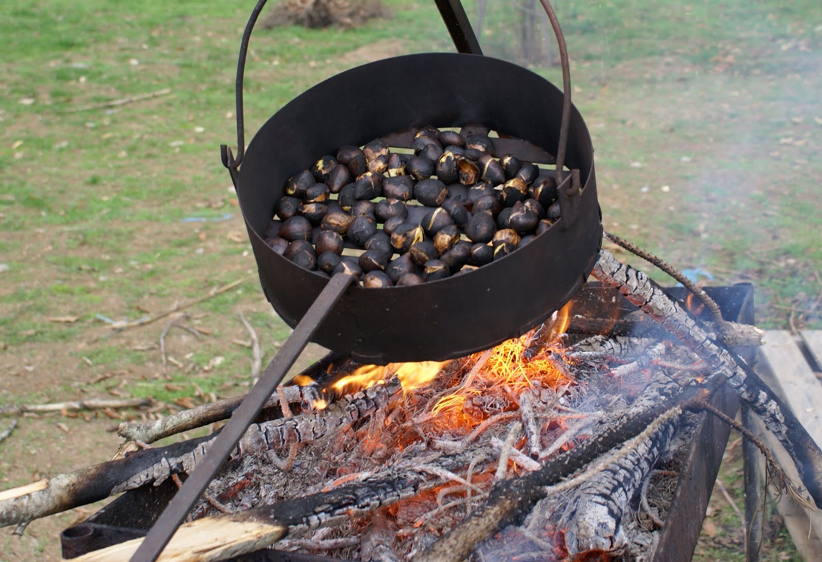 AOURO: Magusto Tradicional nos Vales
