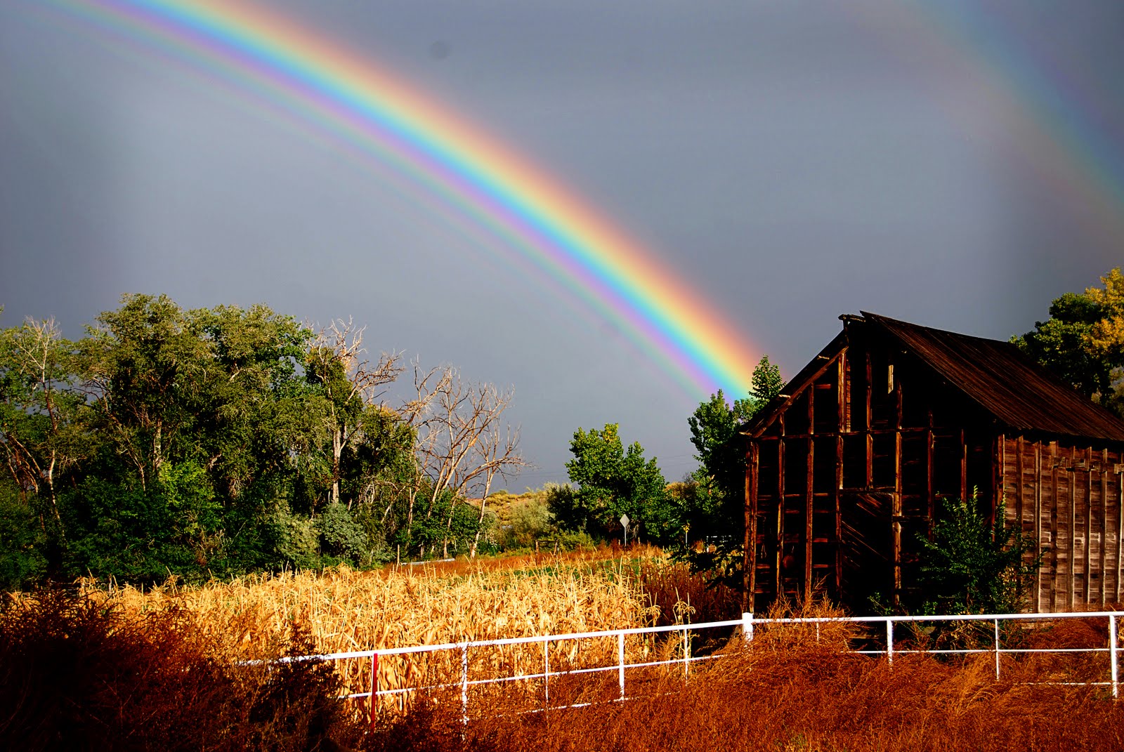 A Mommy's Touch Photography: Rainbows