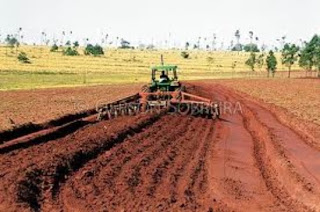 Arado | MECANIZAÇÃO & AGRICULTURA