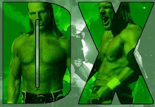 todowwe: los simpson wwe