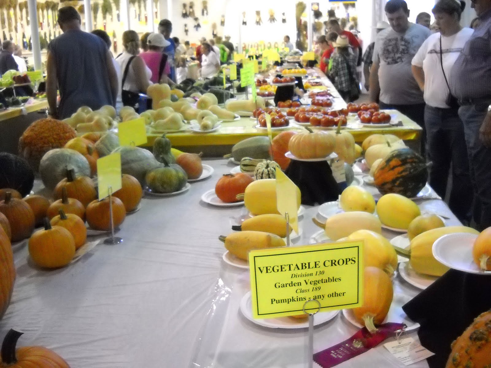 Larry's Creative Zone: August 2010