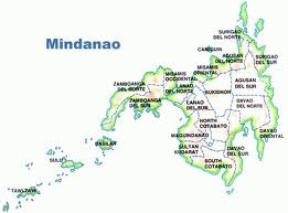 Spatial Data Infrastructure for Philippine NGOs & LGUs: Topographic ...