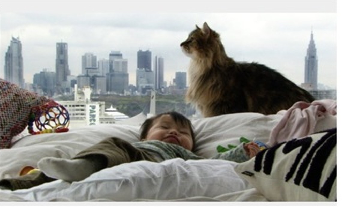 Sandy's Motherhood Blog: The Universality of Babies