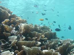 MANFAAT LAUT ~ air untuk kehidupan