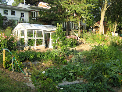 think Detroit = RethinkDetroit.org: Visiting Detroit's urban gardens