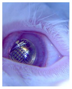 Augmented Reality: Bionic Eye Contact Lens: The Bionic Contact Lens ...