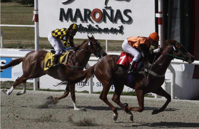 Elevage y Turf: enero 2011