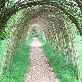 O p e n M y E y e s: Willow weaving