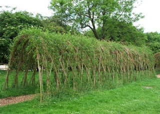 O p e n M y E y e s: Willow weaving