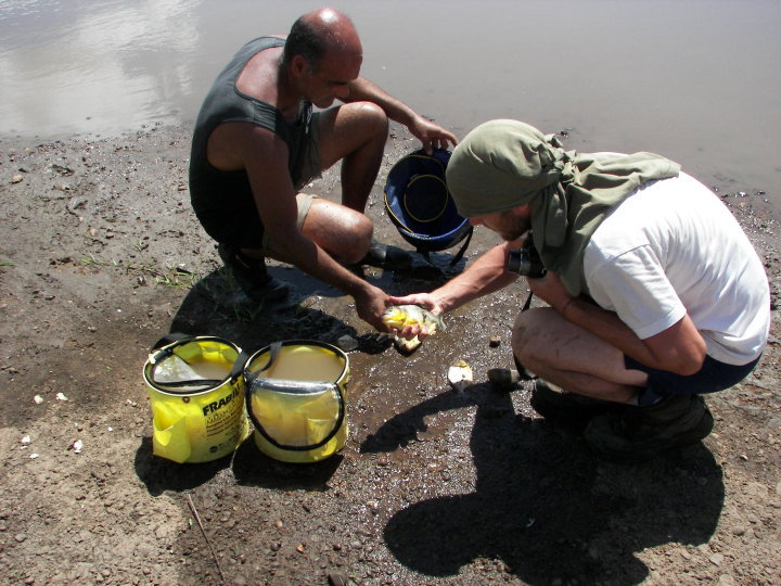 Edward D. Burress: Field Work in Uruguay