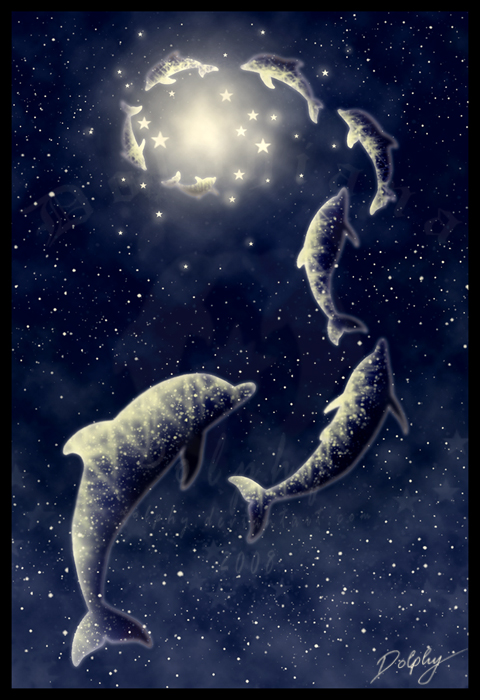 December 2010 | The Dolphin's Wink