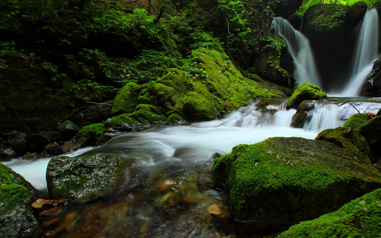 Rocas de rio con musgo-NATURALEZA | Wallpaper-Bobiandcompany