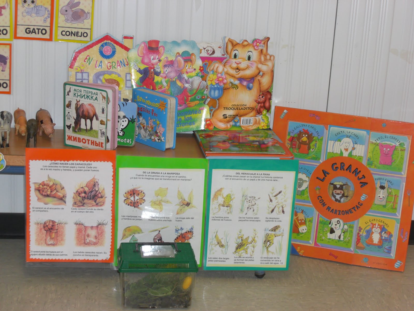 UN MAR DE APRENDIZAJES: 19 may 2010