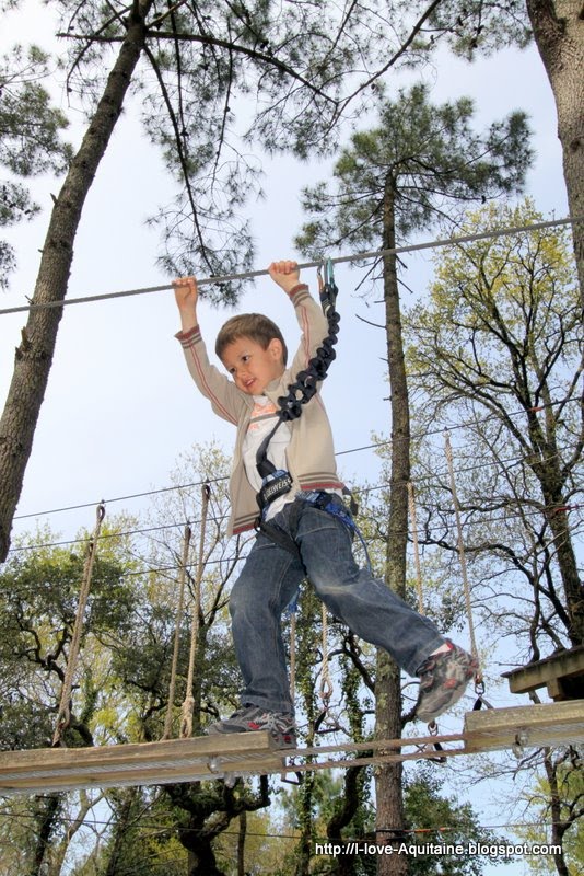 I love Aquitaine: Monkey tree business