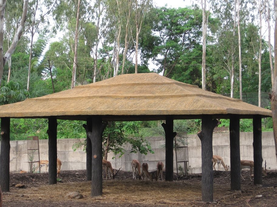 Katraj - Snake Park - RG Zoological Park ~ Welcome to Maharashtra