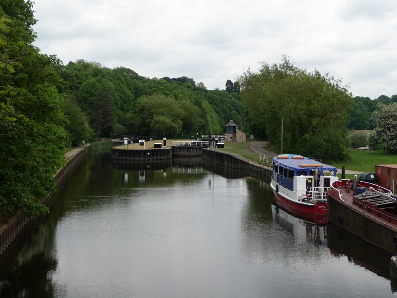 PETROC'S PERAMBULATIONS: May 2010