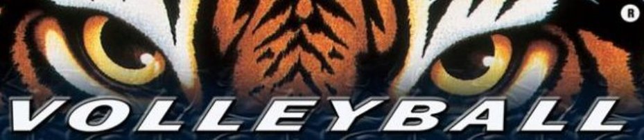 Tiger Volleyball