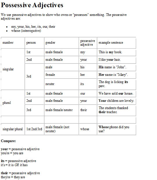 Timeless Heritage: Possesive Adjectives