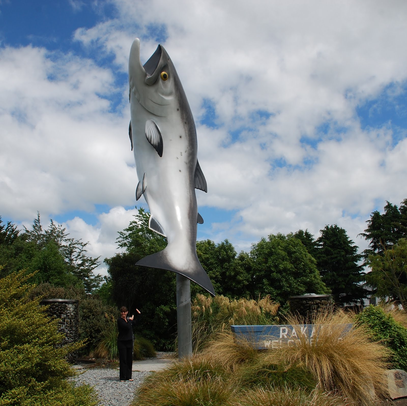 Kiwi Adventures Blog: Salmon Sculpture, Rakaia, South Island, New ...