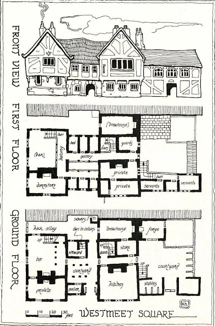 Mage of the Striped Tower: Pelinore