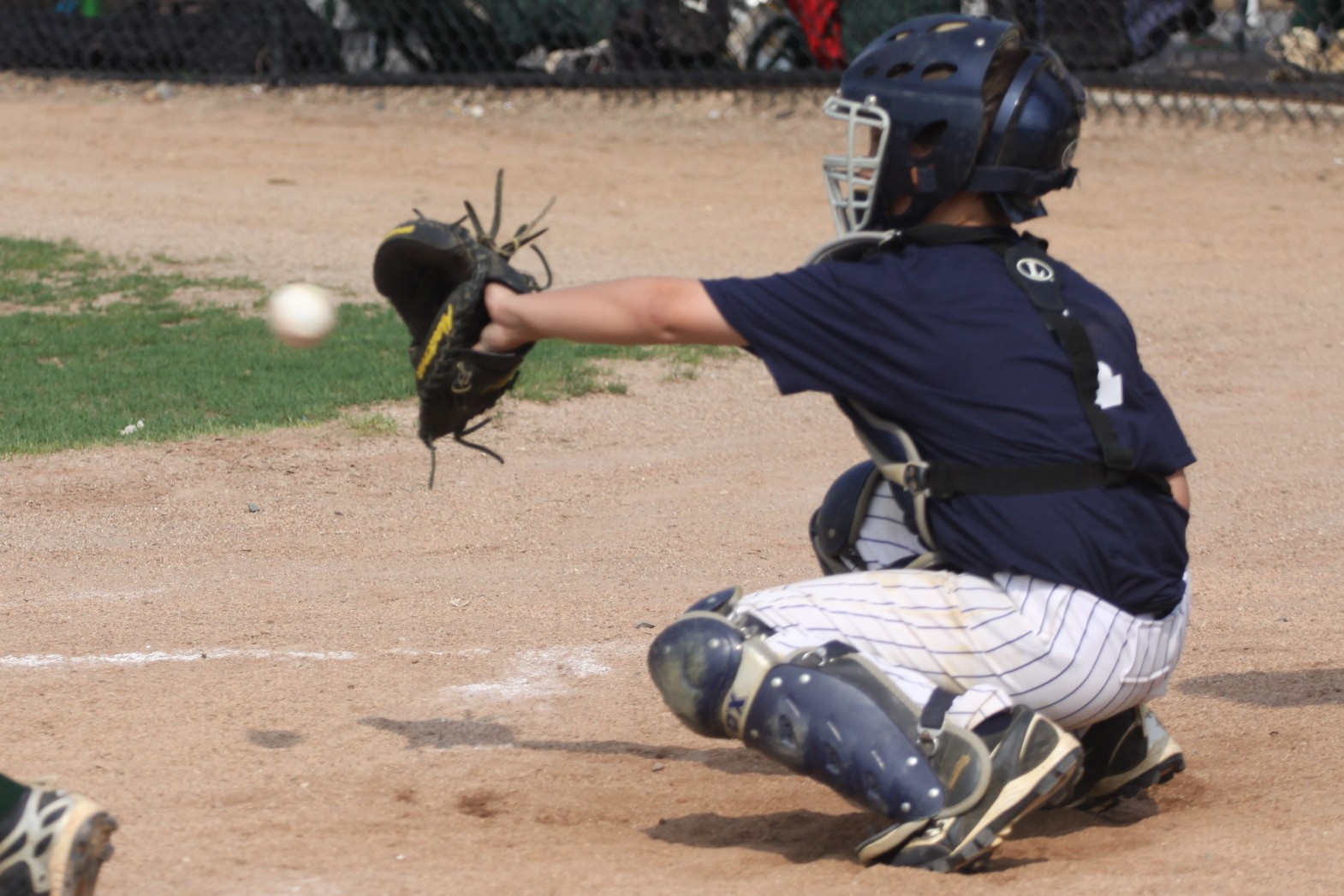 Huntingdon Valley Predators Baseball: Rehoboth Baseball Tournament Recap