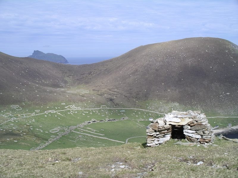 Pleiotropy: Trapping mice in Scotland