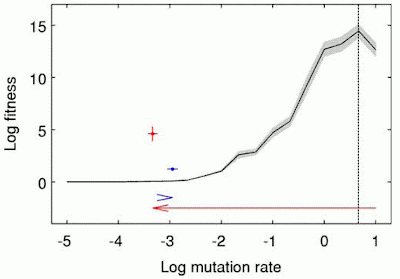 Pleiotropy: Natural Selection Fails to Optimize Mutation Rates