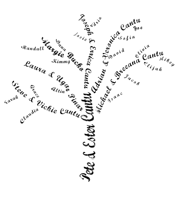 Extra Ordinary Bree: Family Tree Tutorial