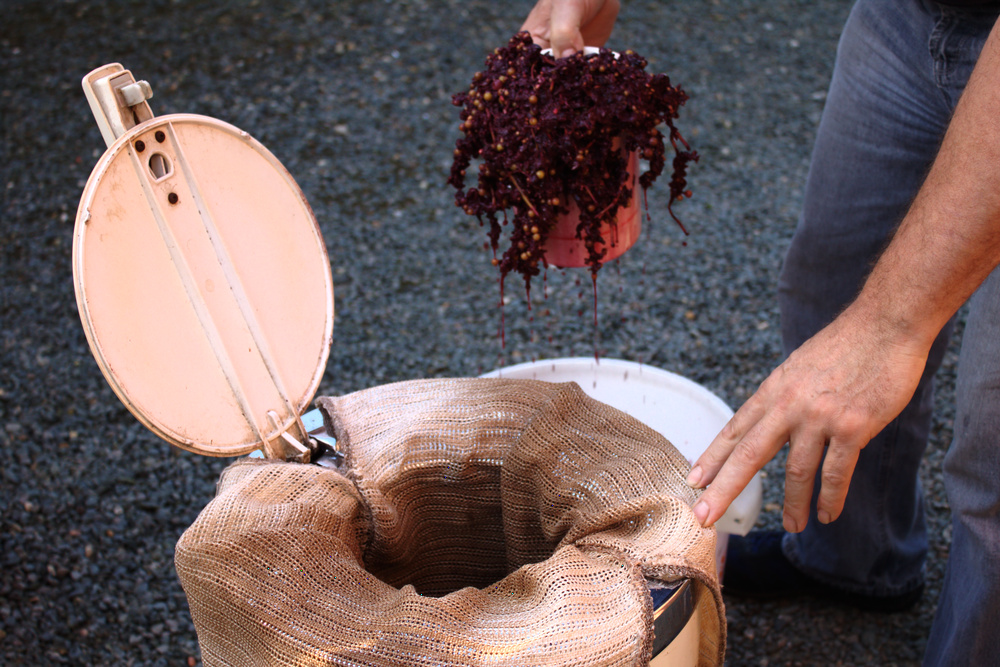 Highly Entropic: End of red wine pulp fermentation and bottling of ...