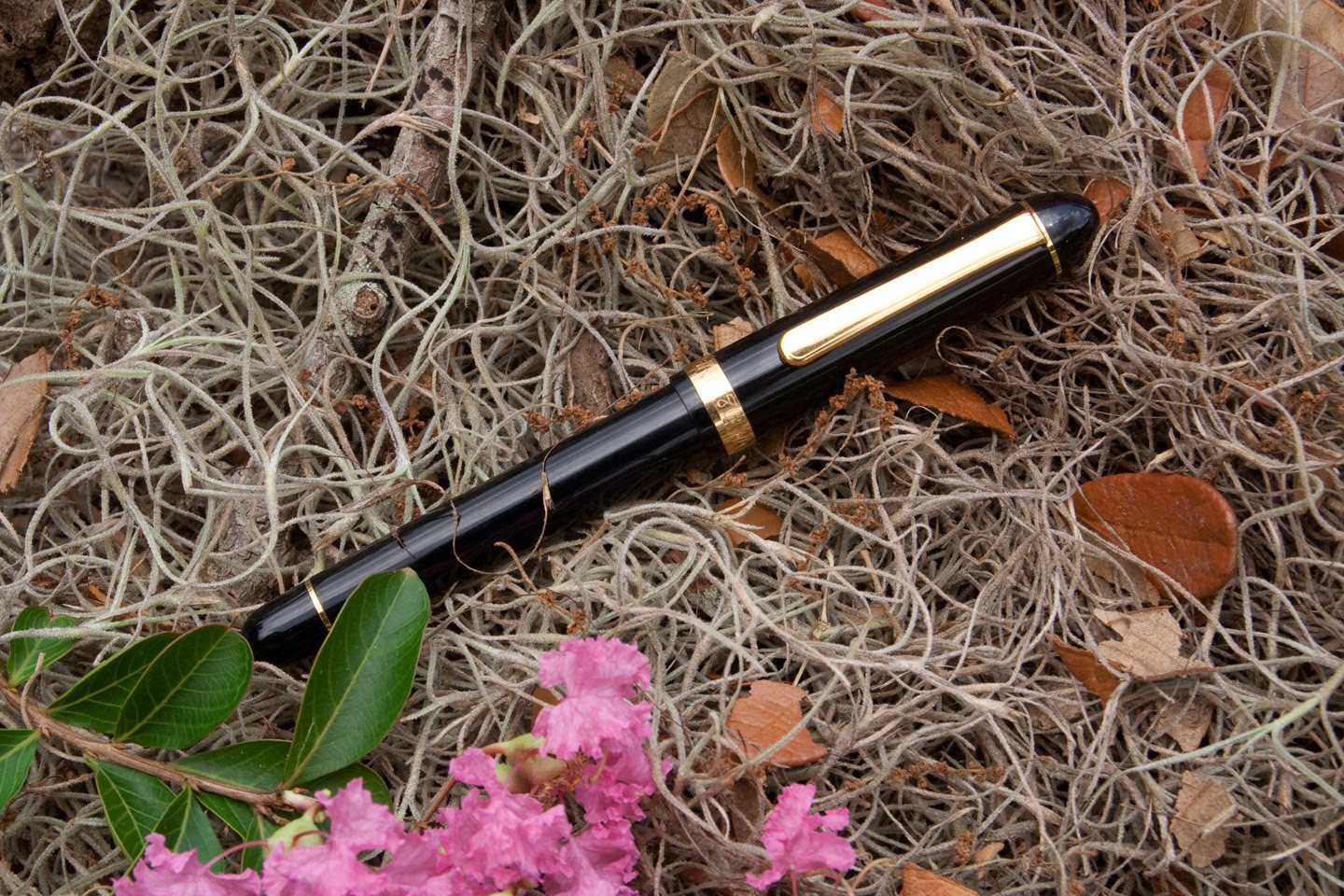 New Life Style: beautiful pens