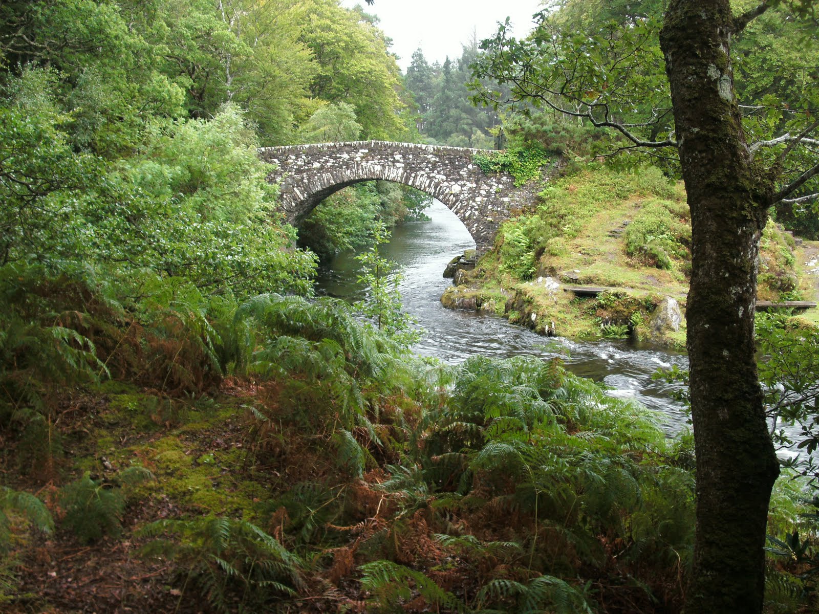 Cottages Scotland: River Shiel West of Scotland