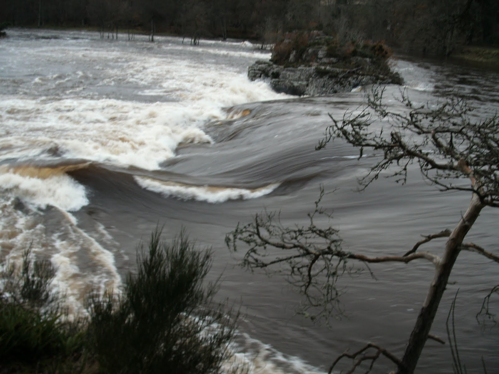 Cottages Scotland: Campsie Linn River Tay Perth Scotland
