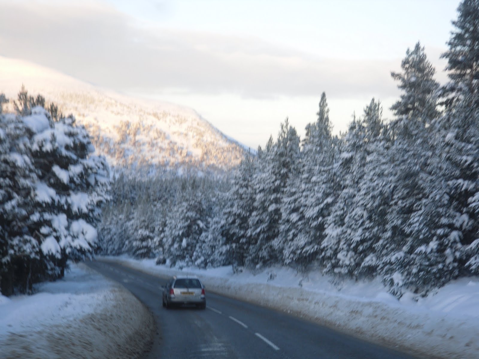 Aviemore Cottages: More Fresh Snow Forecast for Cairngorm and Aviemore ...