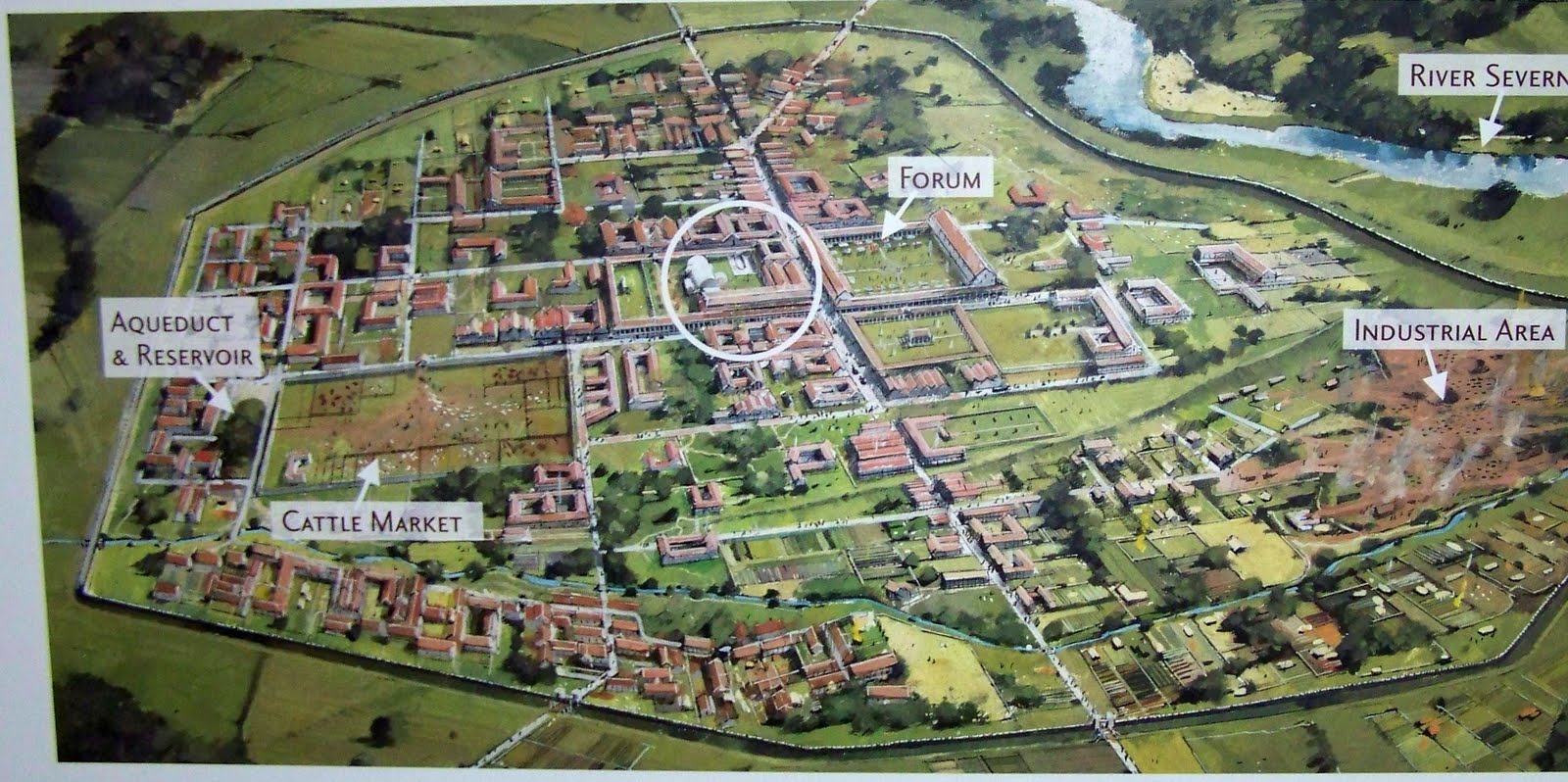 Viroconium Cornoviorum - Alchetron, The Free Social Encyclopedia