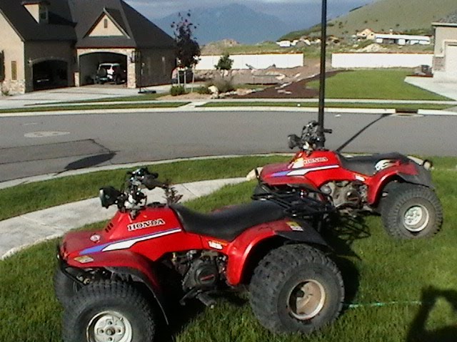 DuneBergs: 1986 Honda TRX 125 Sales Extravaganza