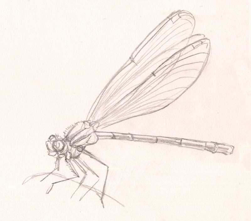 The wild side: An arty post